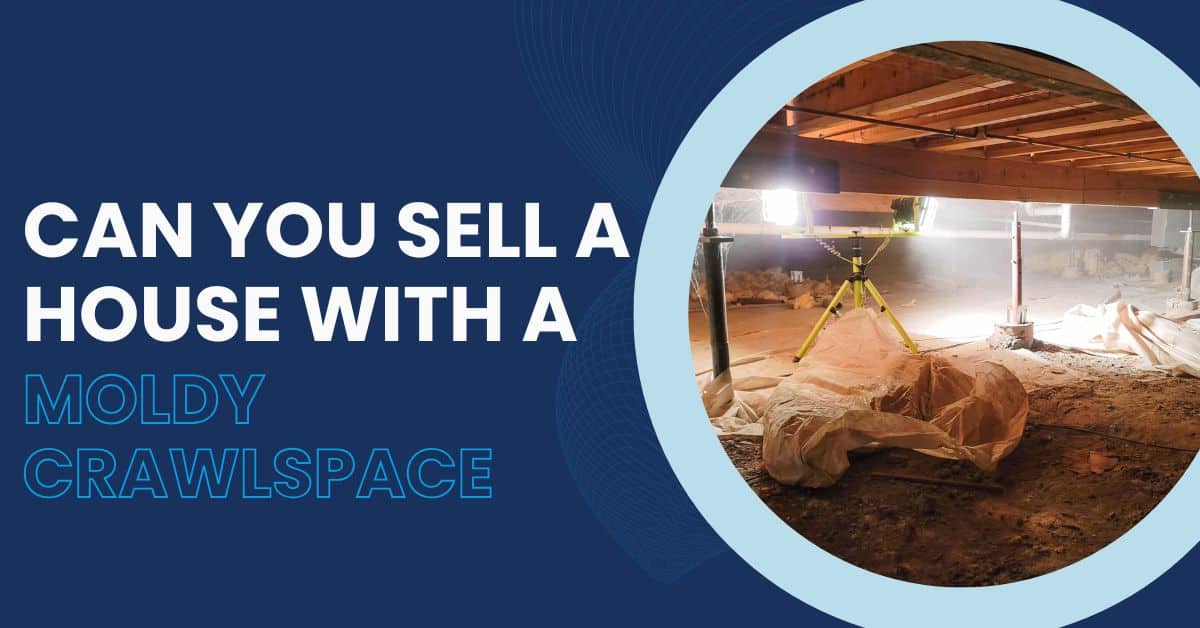 Can I Sell a House with a Moldy Crawlspace - Tips & Options